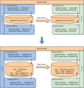 Oracle 19c RDBMS Migrate non cdb to cdb/pdb options 1.1 – SNOWDBA