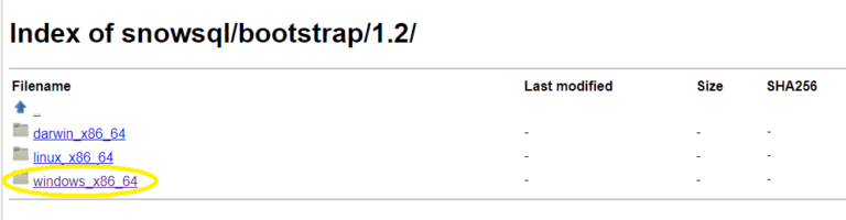 Install snowSQL on Windows – SNOWDBA